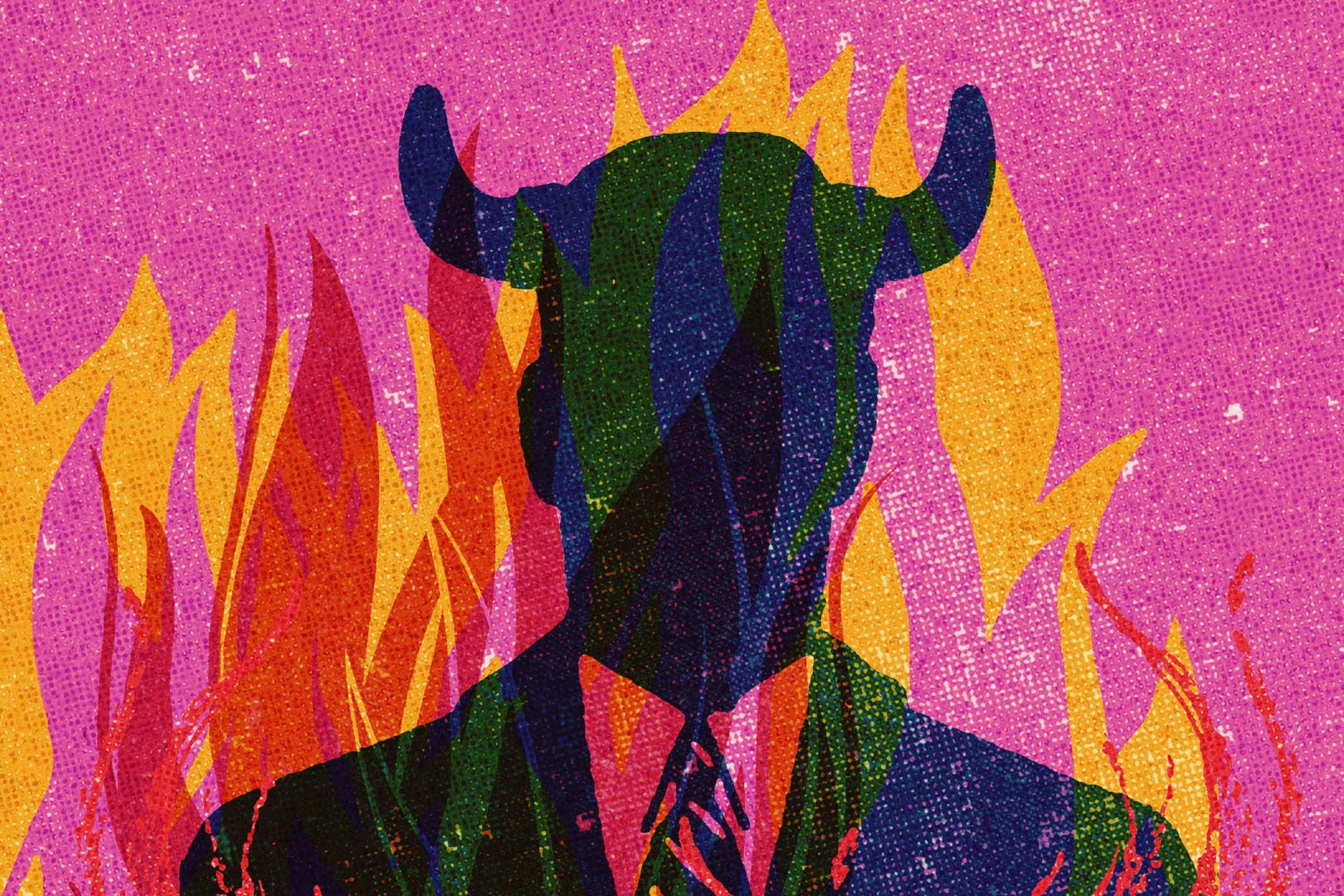 Reflections of a Firebrand - by David Silverman