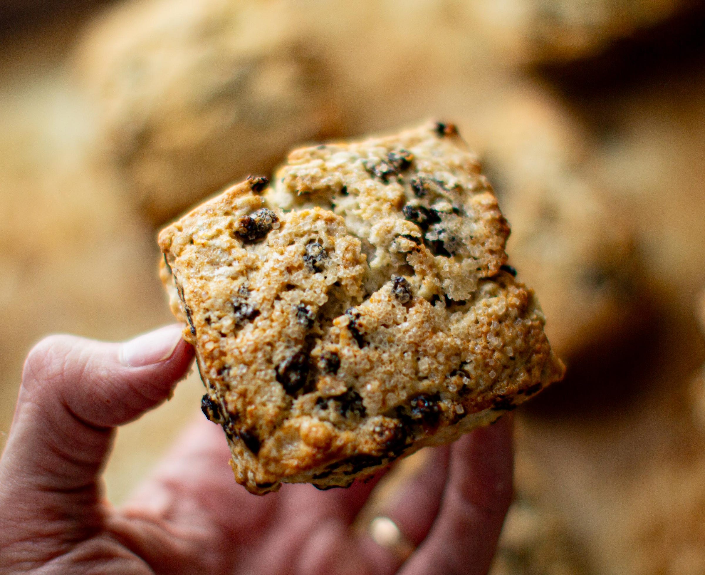 Sourdough Currant Scones - by Martin Philip