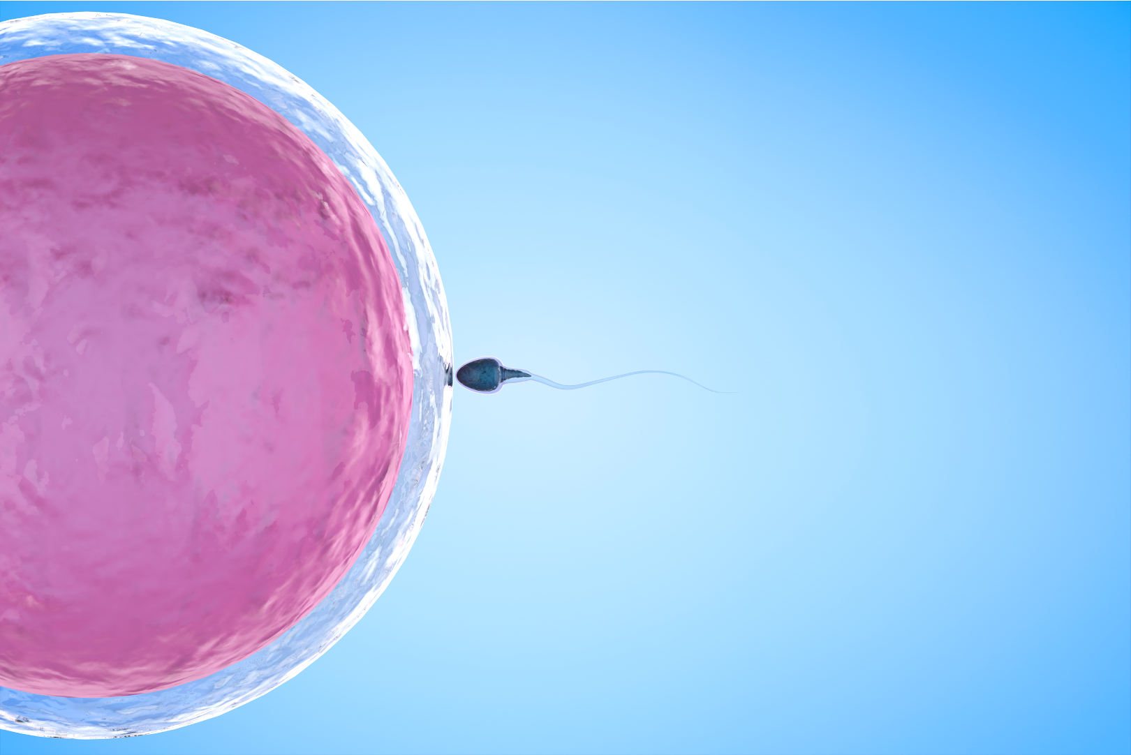 A Biologist Explains Why Sex Is Binary By Colin Wright