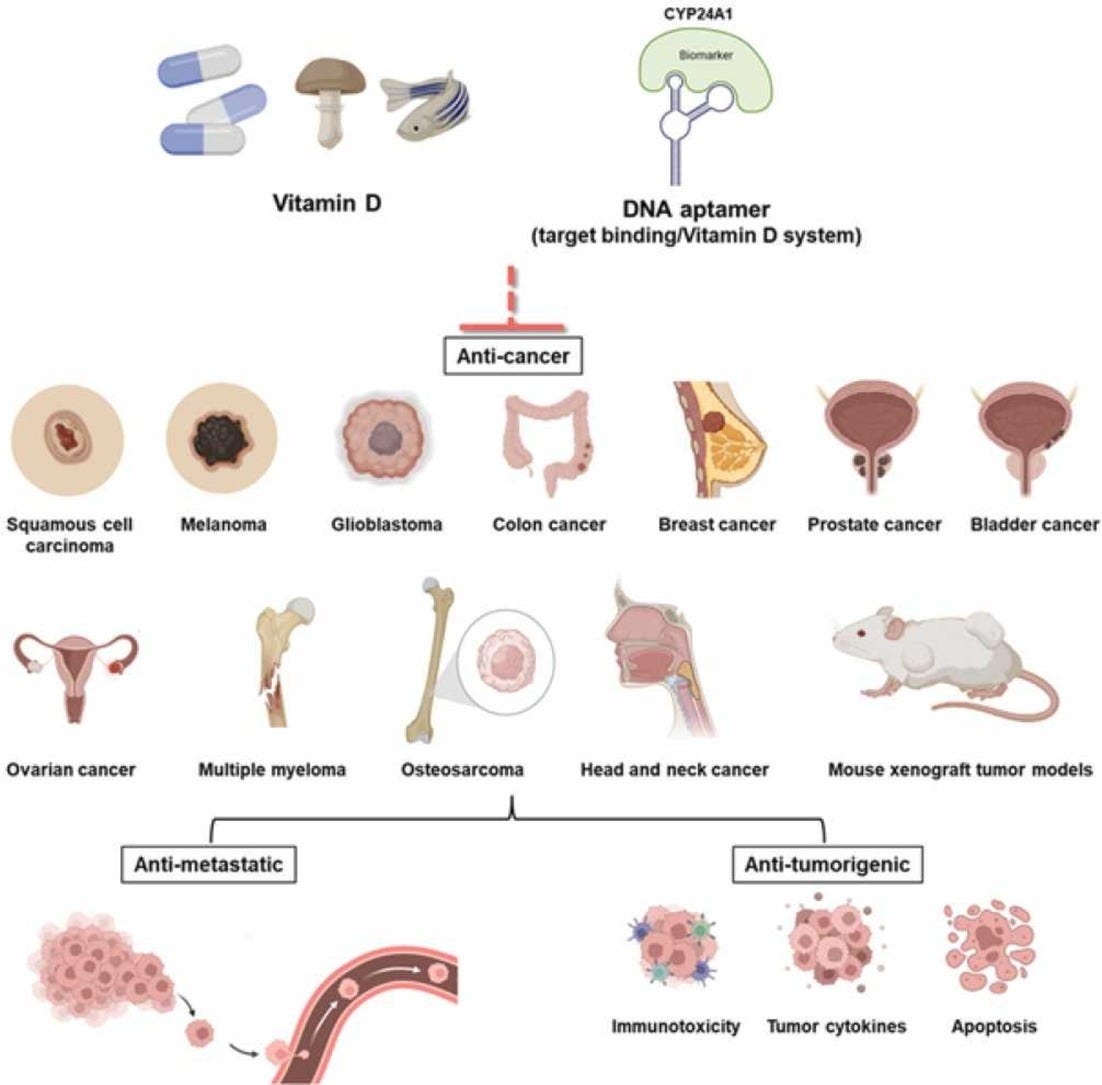 Vitamin D And Cancer A Quick Review And A Look At New Research