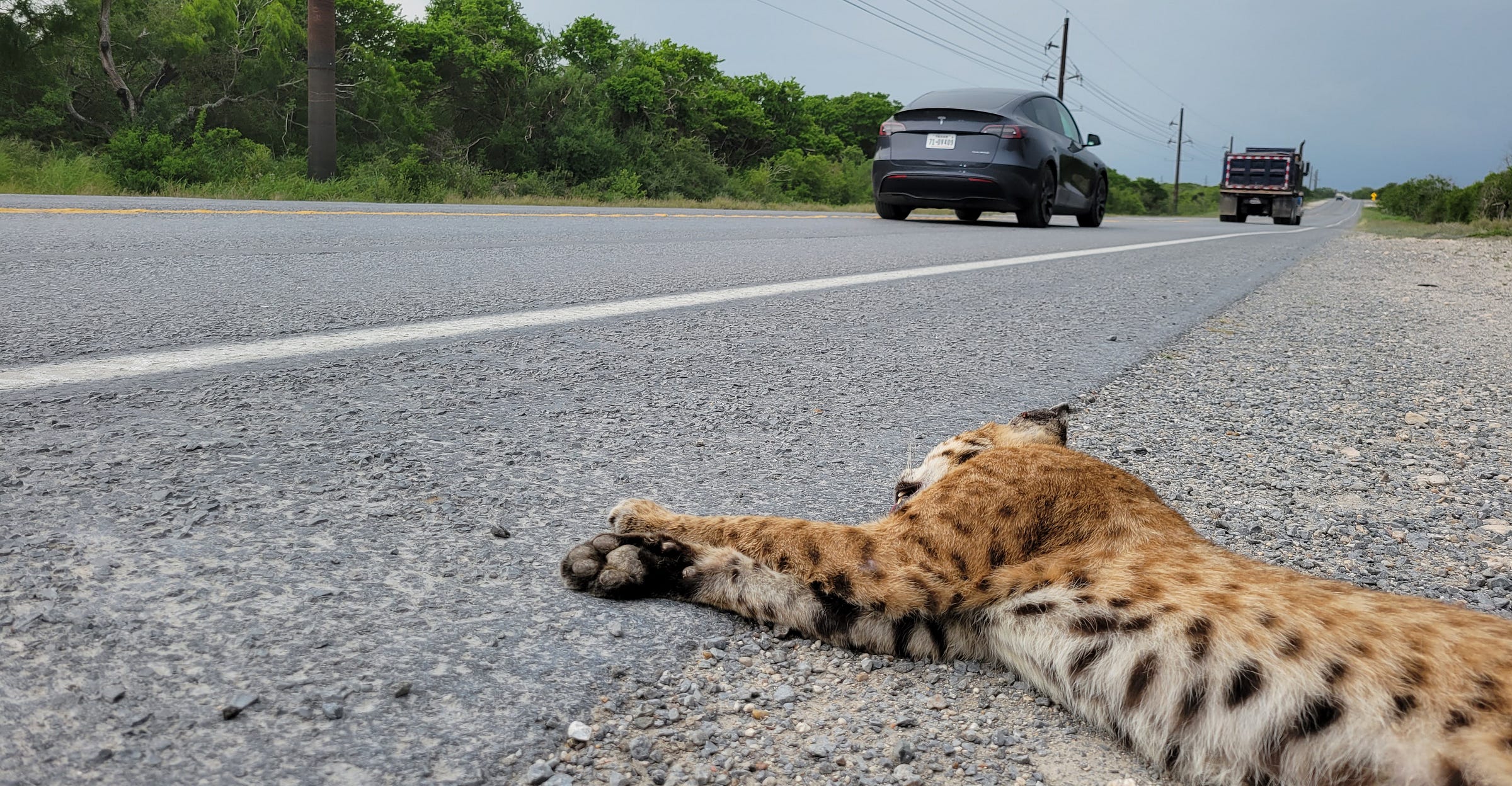 Photos from the SpaceX debris field - by Eric Roesch