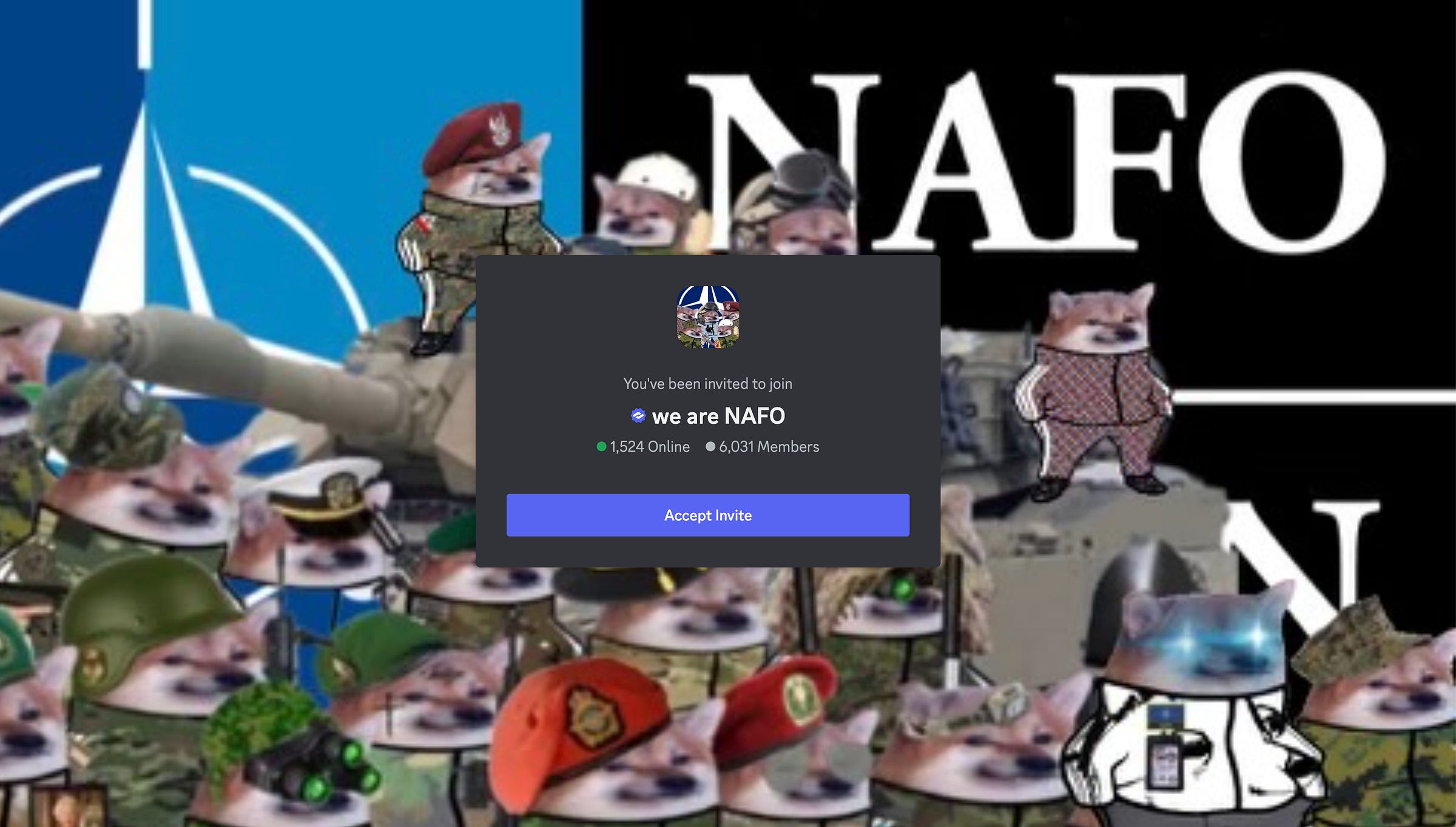 Meet NAFO, Twitter’s Latest Harassment Network
