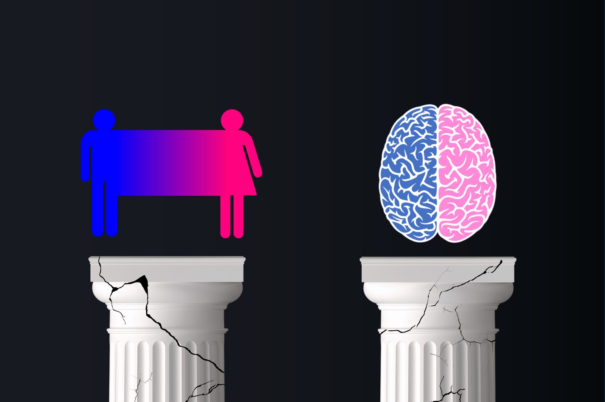Gender Ideology’s Shaky Twin Pillars
