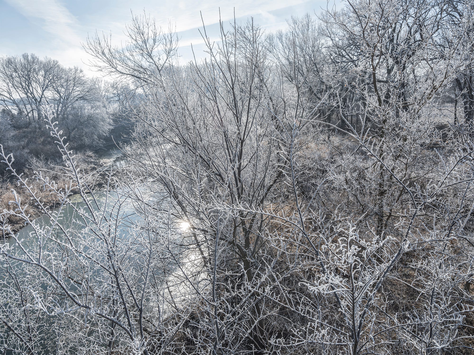 Philip Heying's Hoarfrost - by Andy Adams