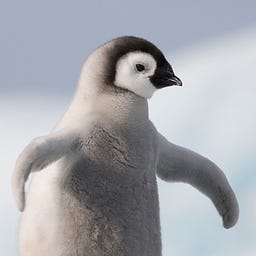 Free Indirect Style: a theory - by Brad Skow