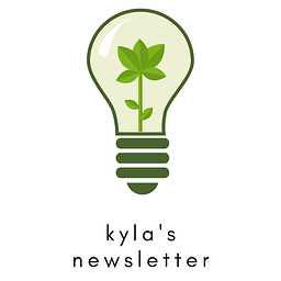 kyla’s Newsletter | kyla scanlon | Substack