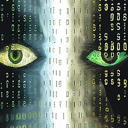 Bug-eyed and Shameless | Justin Ling | Substack