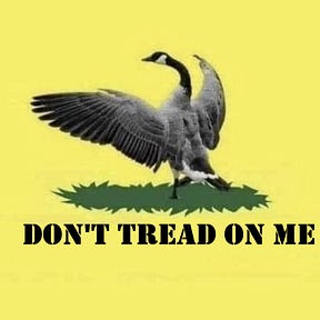 Welcome to Absurdistan, with Elizabeth Nickson | elizabeth nickson ...