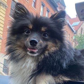 Scott Ritter Extra | Substack