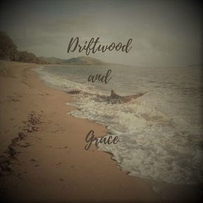 Driftwood and Grace | Melanie Williams de Amaya | Substack