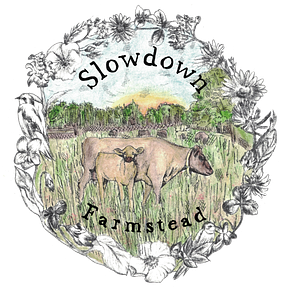 Slowdown Farmstead | Tara | Substack