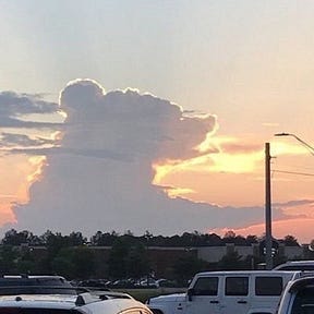 PauloMacro’s Substack | Substack