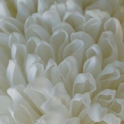 Life and Wonder with Bronnie Ware | Substack