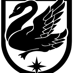 Black Bird Group | Substack