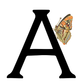 The ALMANAC by Lady Farmer | Mary & Emma Kingsley | Substack