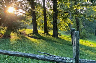 Coming Down to Earth with Barbara Brown Taylor | Substack