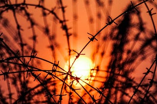 The Hartmann Report | Thom Hartmann | Substack