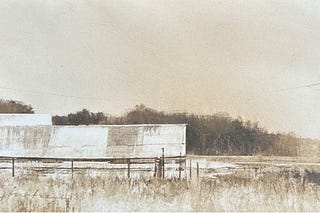 Charlie Hunter's Reasonably Fine Art Talk | Substack