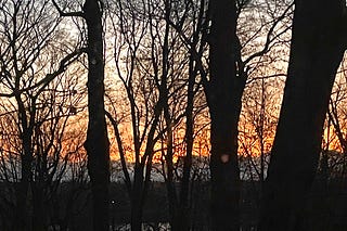 J.F. Riordan; Reflections on a Life in Exile | J. F. Riordan | Substack