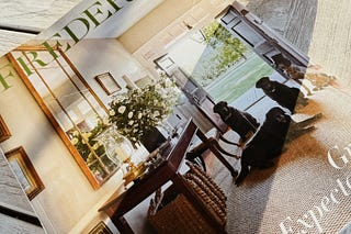 Megan Stokes | Substack