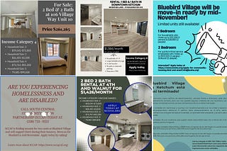 The Ketchum Sun | Perry Boyle | Substack