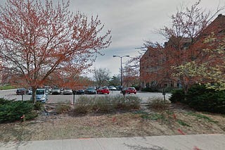 Jotting In Purple | Celia M Paddock | Substack