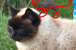 Jack’s Substack | Substack