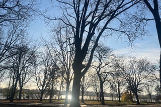 Juliebeans | Julie Beans | Substack