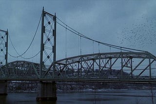 Long Library | Peter Raleigh | Substack