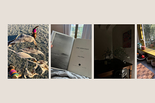 In appreciation | Clara McKay | Substack