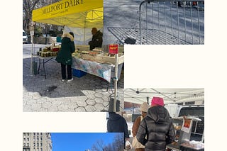 Local Haul | Meredith Lischer | Substack