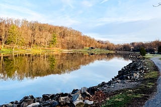 Curated Cravings | Jessica | Substack