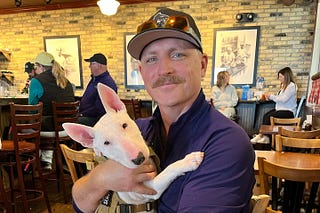 Steven Ulrich's Pitcher Plus Substack | Substack