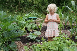 Backyard Farming Connection | Gretchen | Substack