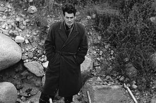 The Adder in the Churchyard Wall | Peter Grey | Substack