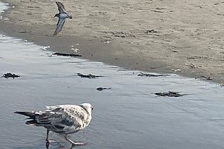 unlikeable female character | reece | Substack