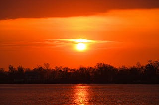 Dandelion Revolution Press Substack | Substack