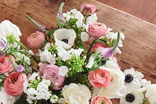 Megan Stokes | Substack