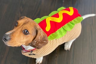 Fair Share by Authors Equity | Substack