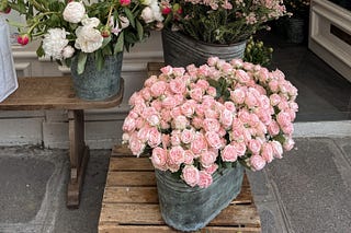 La Vie On Grand | Substack