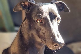 The World According to Fast Eddy | Substack