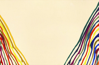 jaguatirica de coleira | Camila von Holdefer | Substack