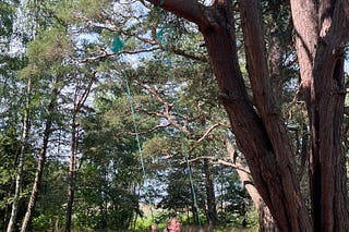 Writing Playground | Terje Äkke | Substack