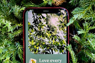 Witness Marks by Melissa Harrison | Substack