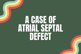 The Echo Journal | Aram K. | Substack