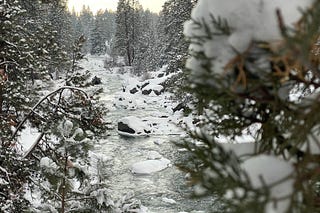 Traipsing About | Dakota Gale | Substack