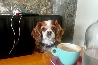 It's Not Just You | Susanna Schrobsdorff | Substack