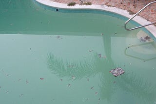 Girl Insides | Substack