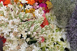 Dear Grace | Clari García | Substack