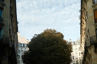 Heart & Hope | Anna Tran | Substack